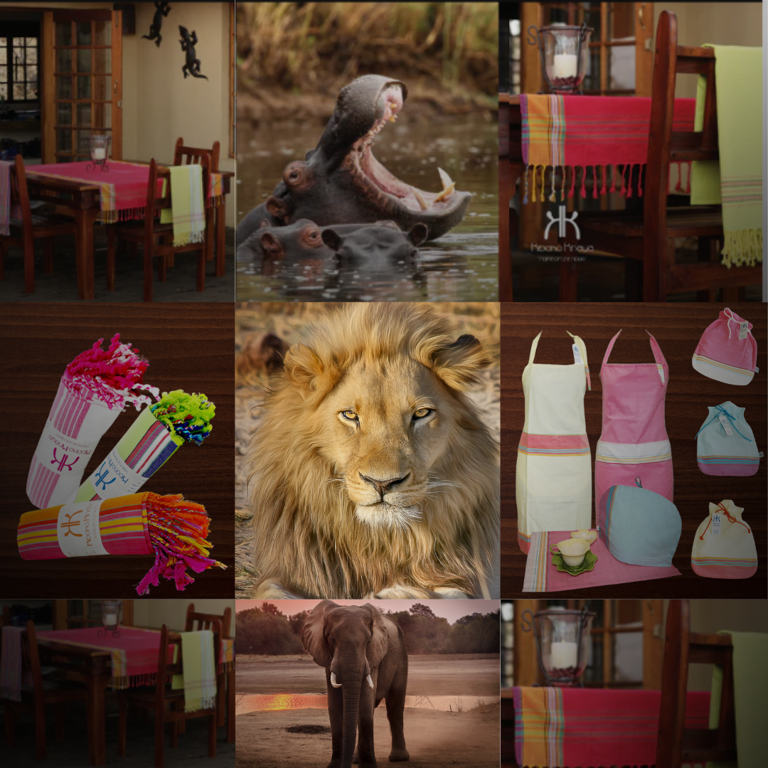 Locker Room – VeloteX